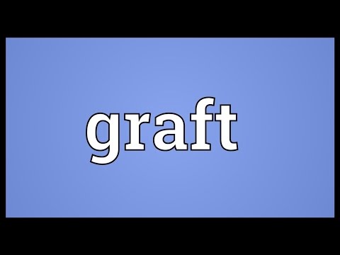 Graft Meaning