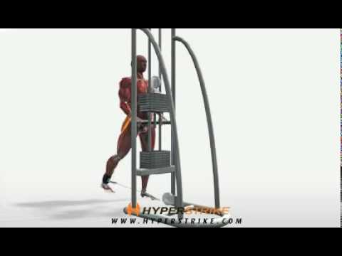 Exercise Videos- Cable Hip Extension -- Standing