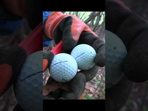 These New Golf Ball Retrievers are CRAZY!