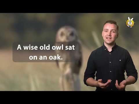 Poem 1 - The Owl