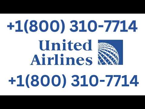 United Airlines Book Ticket Through Phone, Chat, And Online Options: Complete Reservation Guide