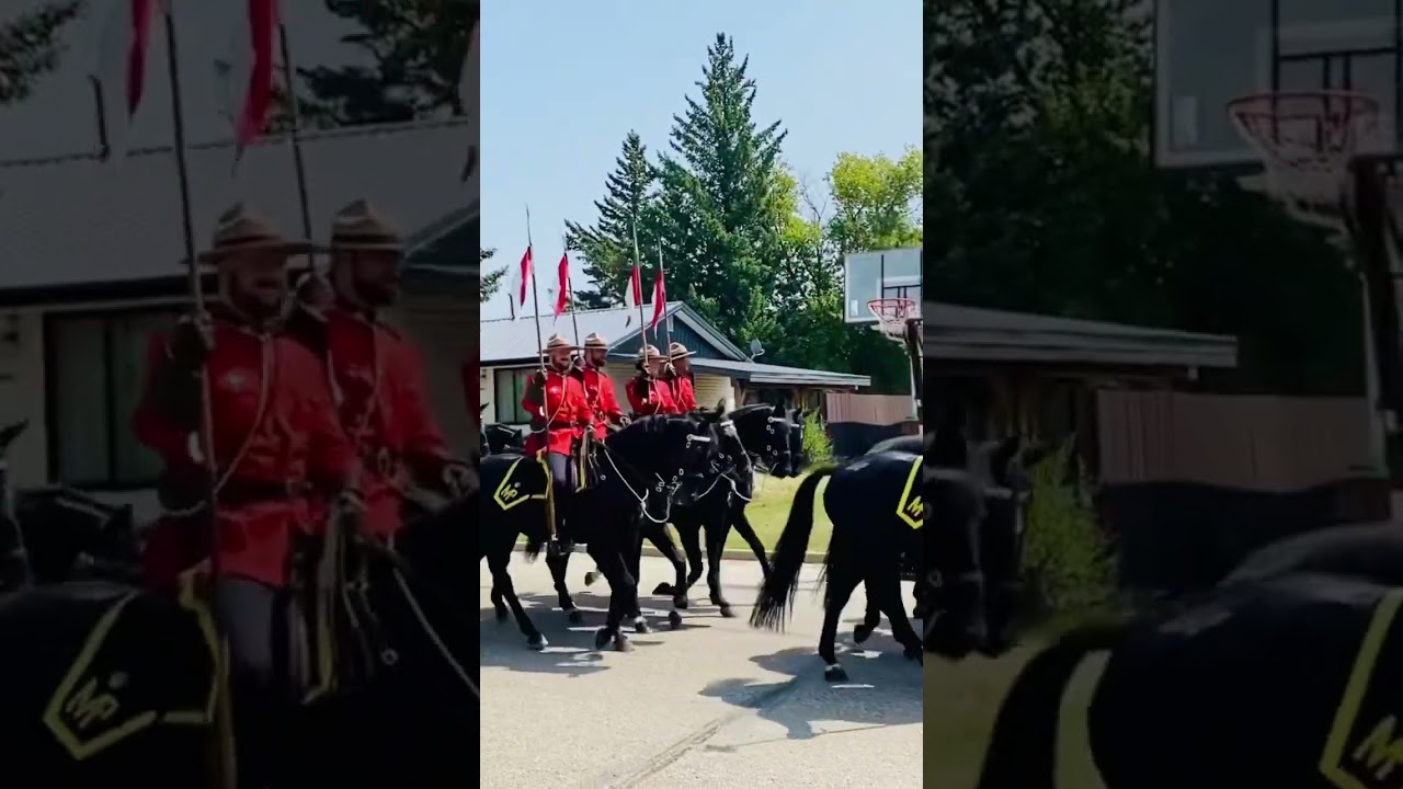 RCMP prade #horseguardsparade #horsefestival #grandparade #horse