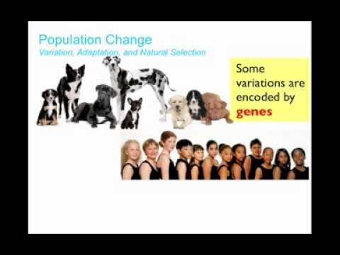 Biology 20: Variation, Adaptation, and Natural Selection