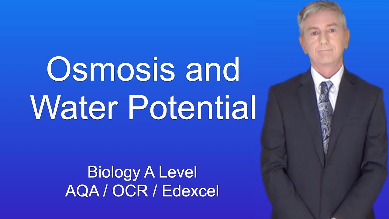 Understanding Osmosis and Water Potential in A Level Biology | Galaxy.ai