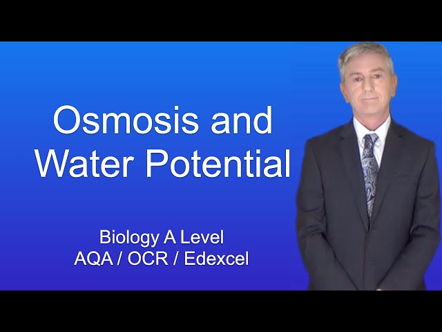 Understanding Osmosis and Water Potential in A Level Biology | Galaxy ...