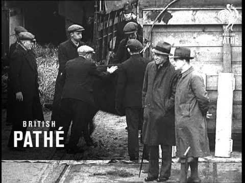 British Is Best (1934)