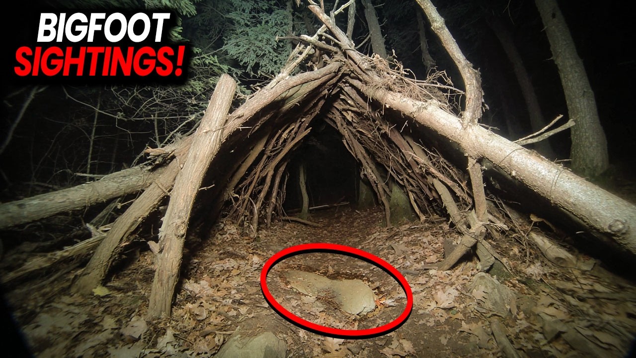These Bigfoot Sightings Will Make You Question Everything