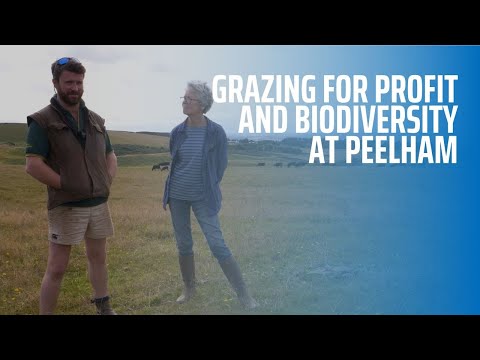 Grazing for Profit and Biodiversity at Peelham