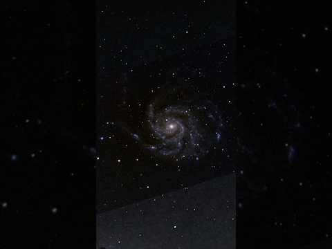 The M101 Galaxy