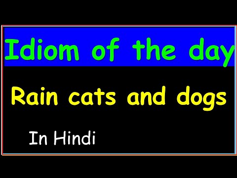 idiom - rain cats and dogs meaning in Hindi | idiom of the day
