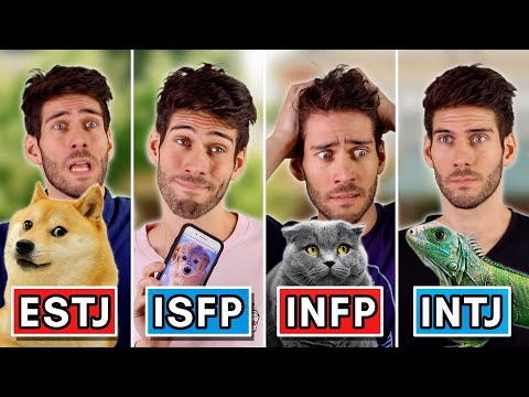 😻 Is your MBTI personality type right for your pet? - CatVisitor.com