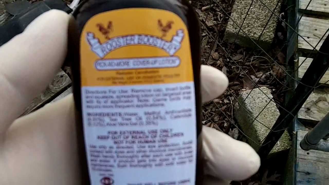 Chicken Anti-Peck Solution