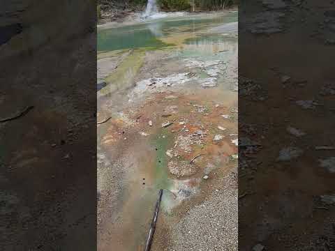 pretty colors, Yellowstone