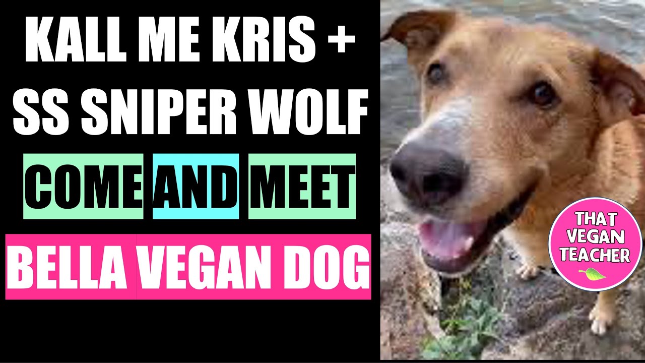 @SSSniperWolf & @kallmekris Your Dogs Can Be Vegan Too!