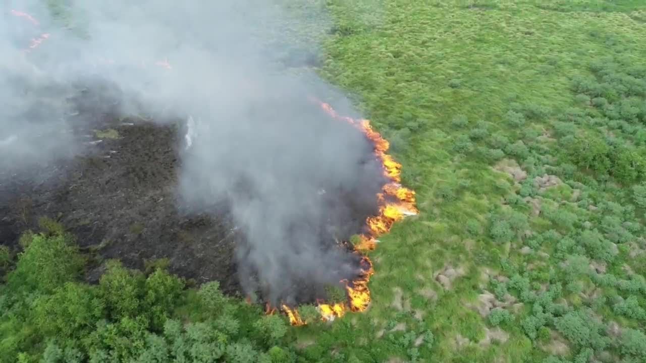 Bayou Sauvage marsh fire Aug. 1 (cc: FWS.gov)