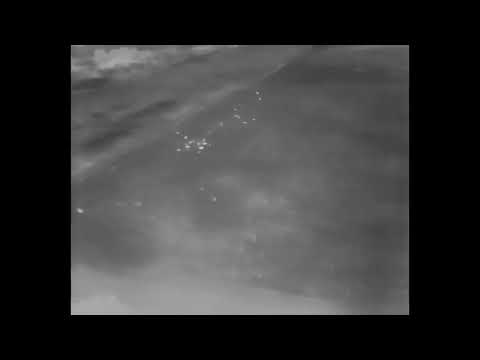 Hog hunting in Texas/ thermal drone