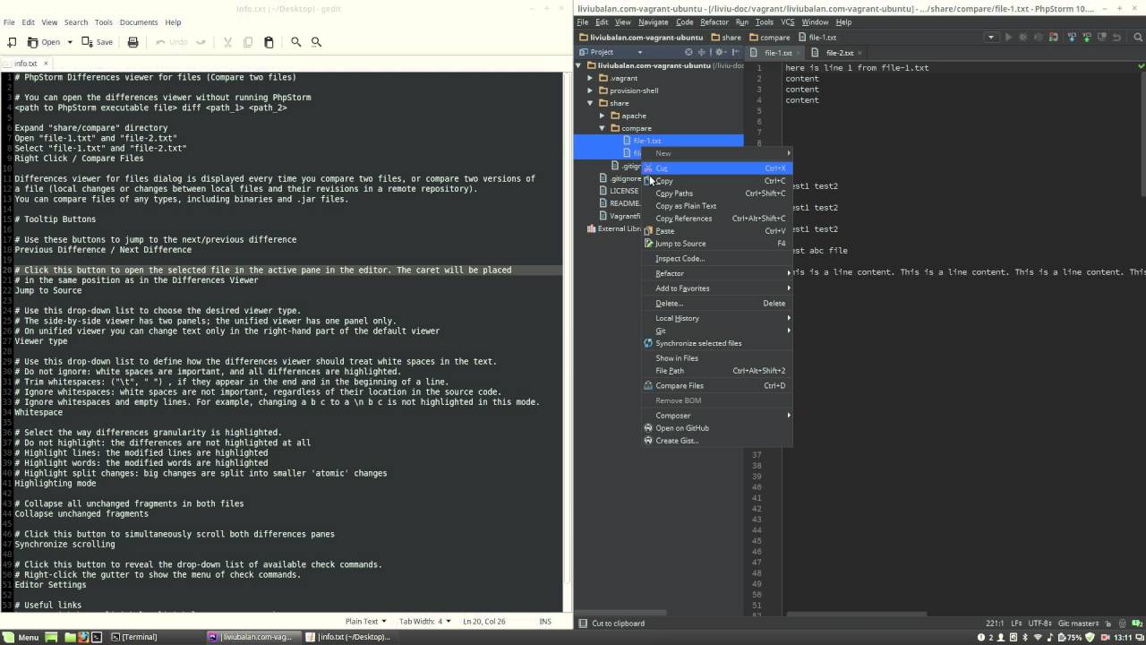 PhpStorm Differences viewer for files (Compare two files) #130