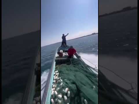 Fishermen’s Life . The real Fighters 🔥🔥🔥 fishing video - Arabian 🌊 Sea