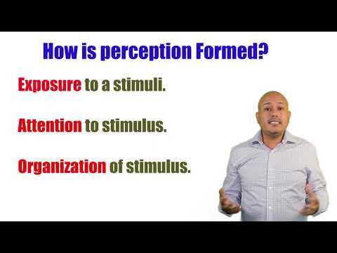 What is Perception? Understanding the Perceptual Process.