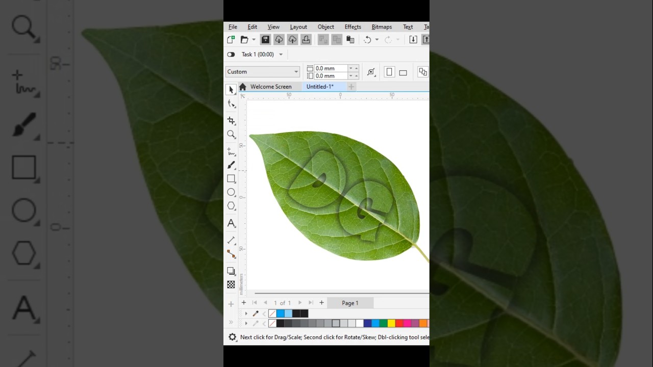 Transparent Text On a Leaf || Dev Graphics || #coreldraw #graphicdesign