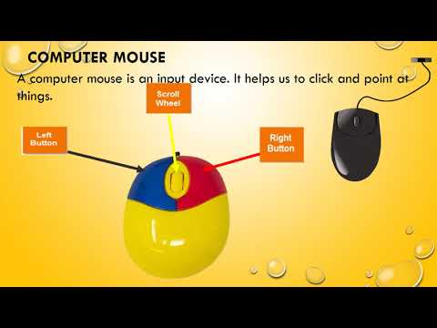 GRADE 2 ICT ASSESSMENT AND RECALL WEEK 10 (11.6.20)