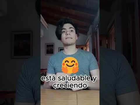 ¿Sabes qué es el PIB y por qué es tan importante para la economía?