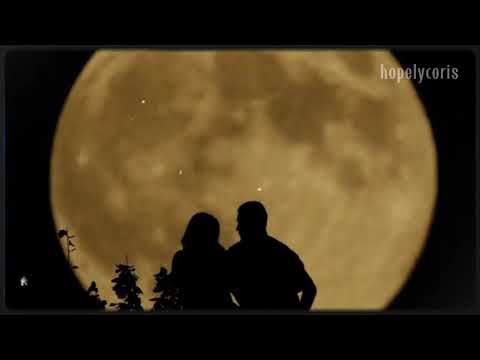 "the moon is beautiful, isn't it?' (a playlist)