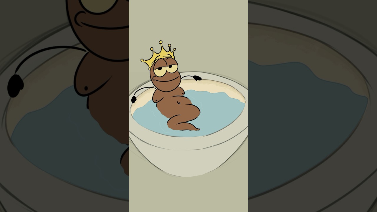 When at friend’s place and you get one of these 🤣🤣 (4k memes)