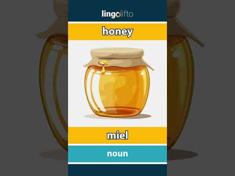 🇬🇧🇪🇸 honey - miel : vocabulary builder : learn English : aprendamos inglés