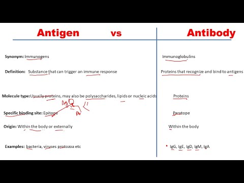Difference between antigen and antibody | Antigen vs Antibody |