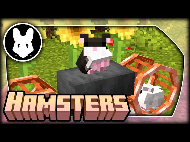 Minecraft Hamster Plus mod: Features and how to download