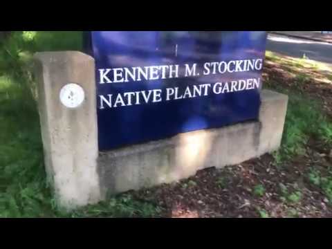 The Kenneth M. Stocking Native Plant Garden at Sonoma State University