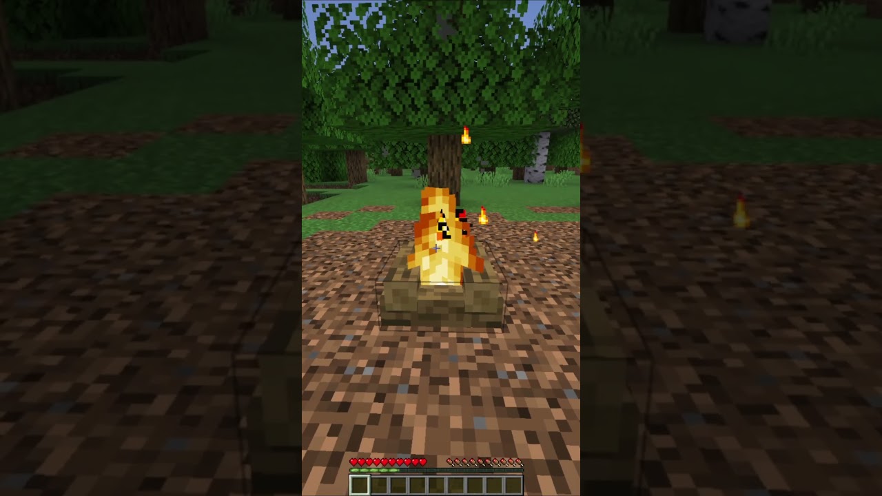 Unlit Campfire