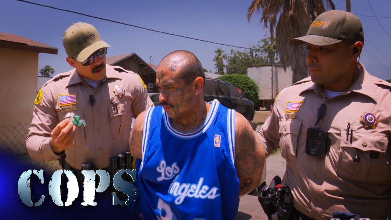 Air 1, Show 3723, Cops TV Show