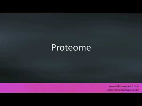 Pronunciation of the word(s) "Proteome".