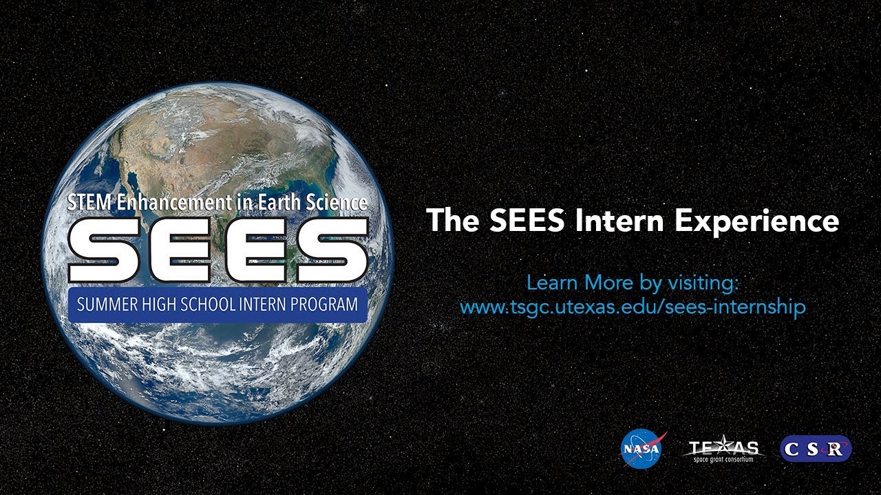 The SEES Intern Experience