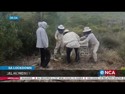 Sweet success for Cape Town honey brand