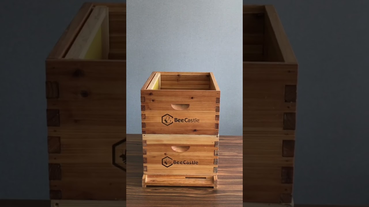 BeeCastle 10 Frame 3 Layer Beehive