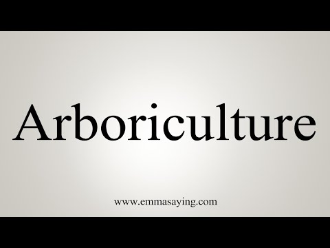 How To Say Arboriculture