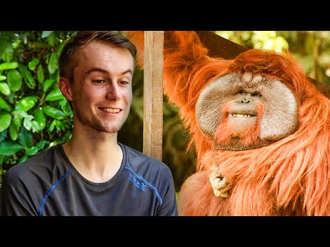 The 7 most interesting sloth facts | The Great Projects