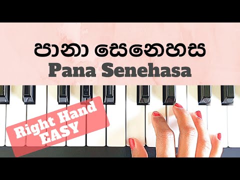 Pana Senehasa – EASY BREEZY PIANO