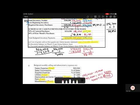 Pro Forma Income Statement
