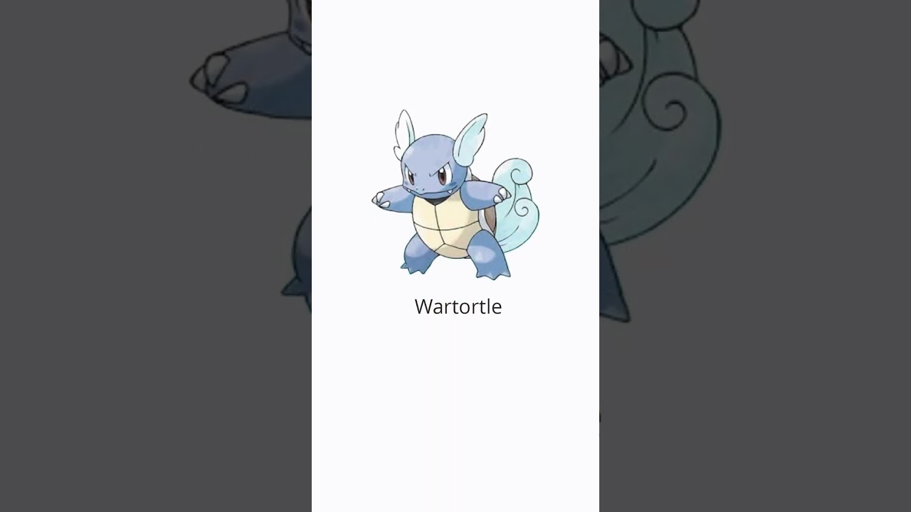 Squirtle Evolution