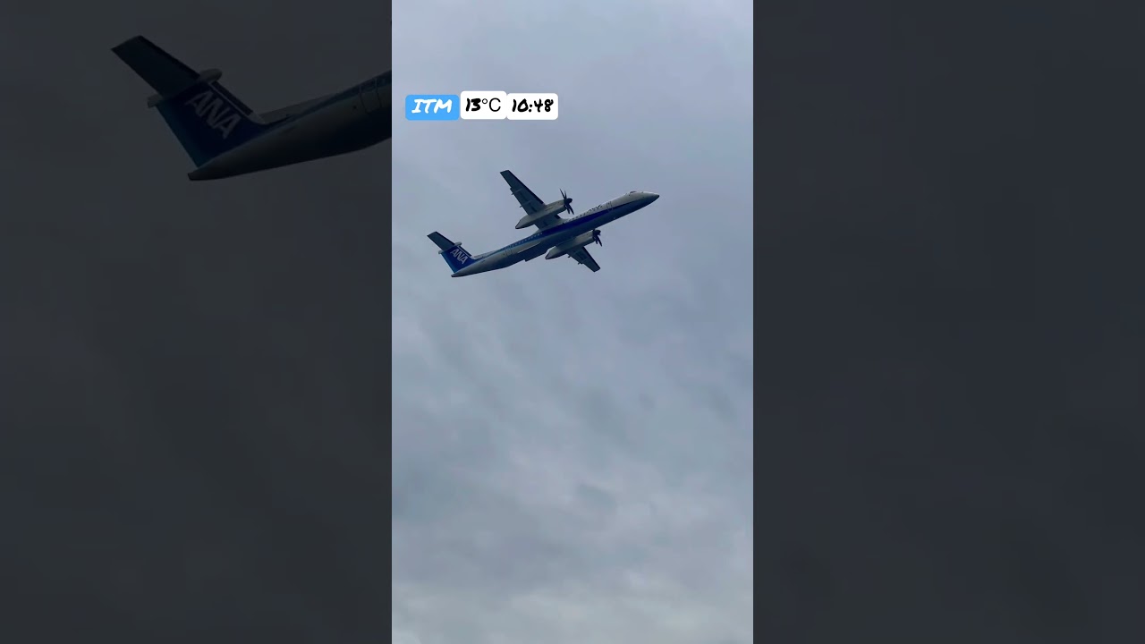De Havilland Aircraft of Canada ANA Takeoff Osaka International Airport #takeoff #ana #dehavilland