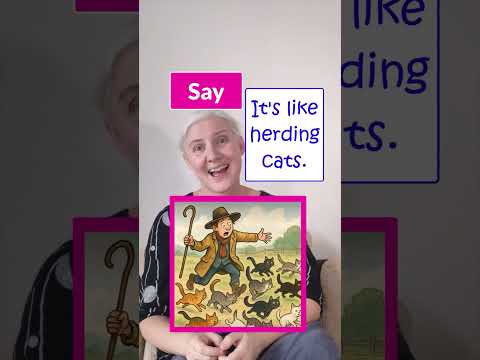 Speak Colourfully | herding cats