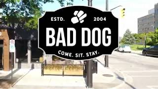 3 Best Sports Bars in Sarnia, ON - Expert Recommendations