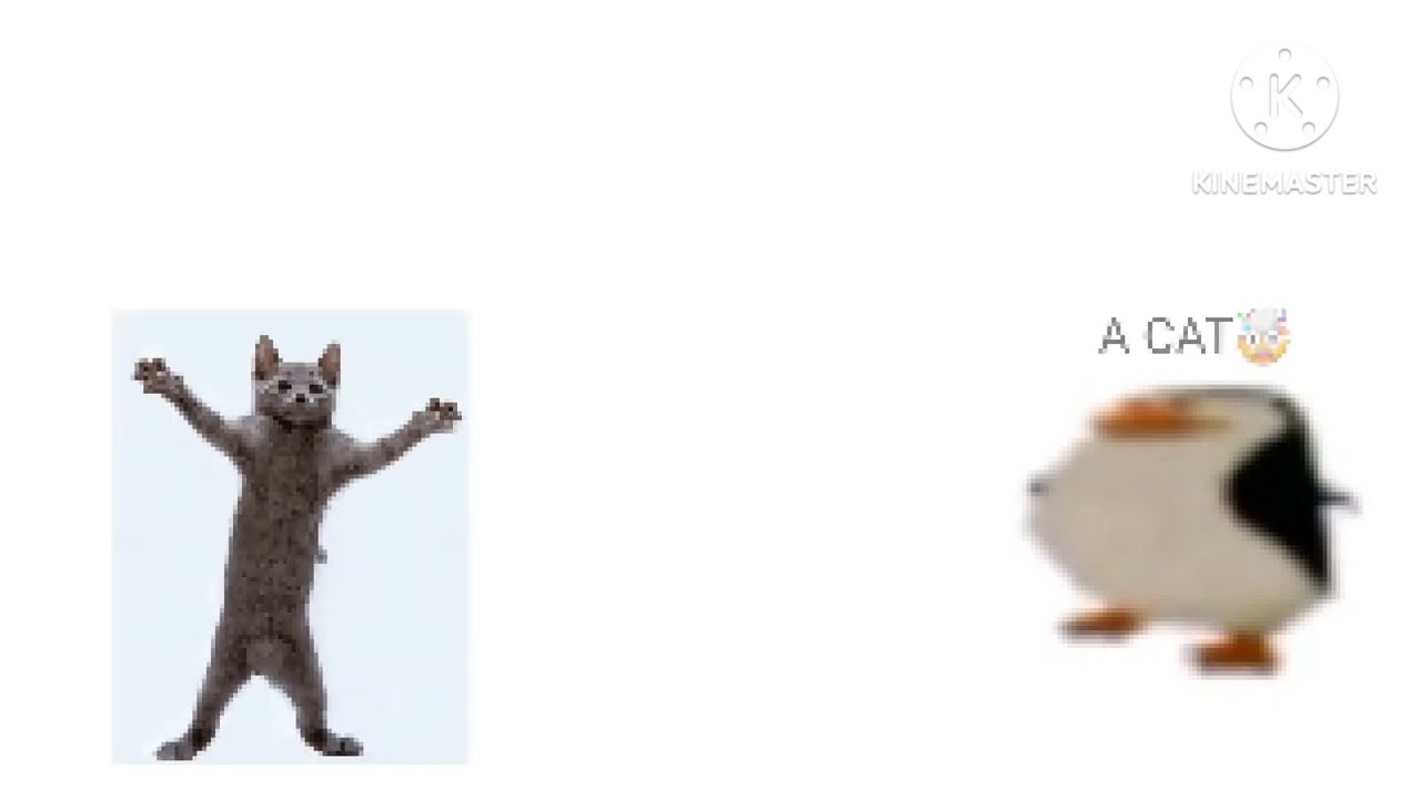 Penguin (very emotional) remake