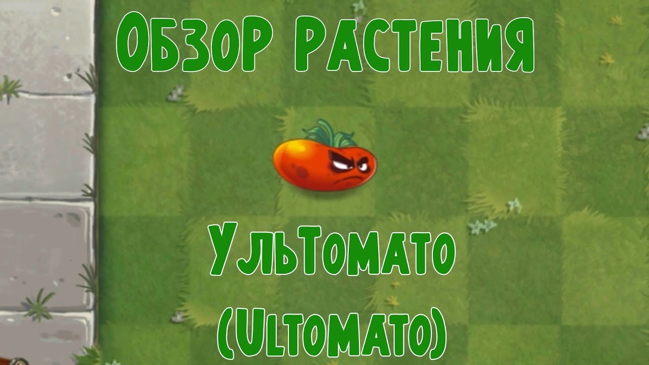 УльТомато (Ultomato) - описание, характеристики и таблица уровней