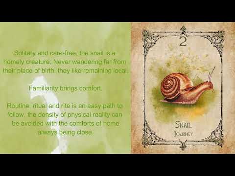 Snail Spirit Animal Message, Meaning & Symbolism.