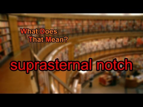 What does suprasternal notch mean?